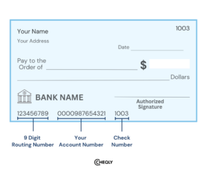 Main Differences Between Routing and Account Numbers | Cheqly